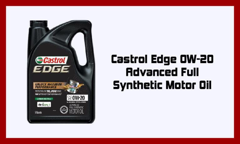 Cold Weather Warriors: 3 Best Oils for Cold Weather